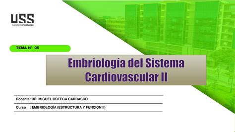 Embriología Del Sistema Cardiovascular Ii Saskia Zharick Castro
