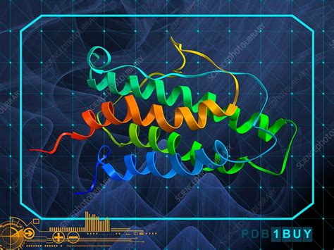 Erythropoietin Hormone Molecule Stock Image C0358626 Science