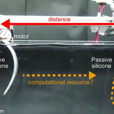 Overall Experimental Setup And An Illustration Of The Motivation For