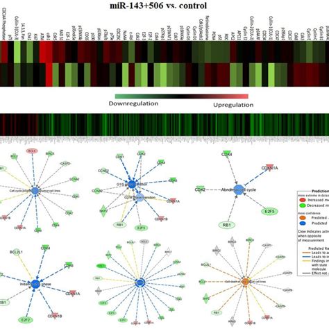 Microarray And Rna Sequencing Analysis Of The Cell Cycle Pathway