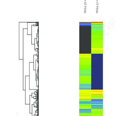 Hierarchical Clustering Analysis And Heatmap Based On Normalized Psm