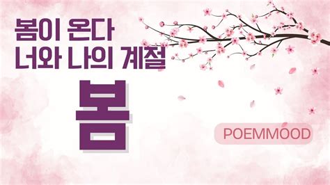 🌸 봄이 온다 너와 나의 계절 새로운 시작과 사랑의 노래 💖 Youtube