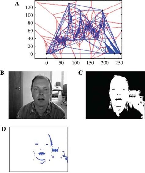 A Dt B Original Image C Segmentation And D Detection Download Scientific Diagram
