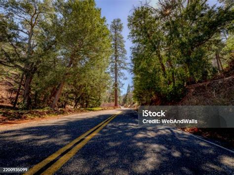 가을에 나무가 가득한 숲 속 산 계곡의 한가운데를 가로지르는 텅 빈 2차선 아스팔트 도로 0명에 대한 스톡 사진 및 기타 이미지 0명 가을 거리 Istock