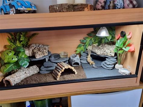 Leopard Gecko Vivarium Enclosure Cage Inspiration In 2023 Leopard