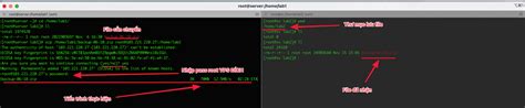 2 Cách Sử Dụng Scp Và Rsync để Di Chuyển Dữ Liệu Trên Linux Azdigi Blog