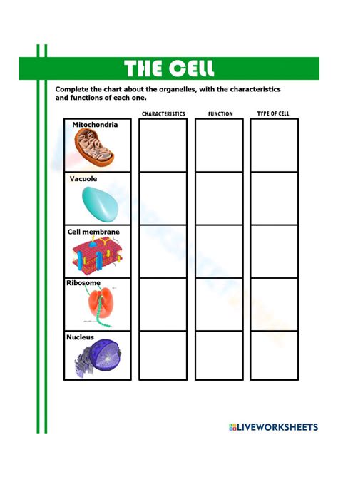 The Cell Worksheet