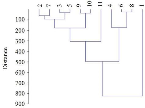 Comparison Of Common Bean Varieties And Specimens Clustered By The Download Scientific Diagram