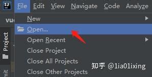 使用IDEA开发前端项目 知乎