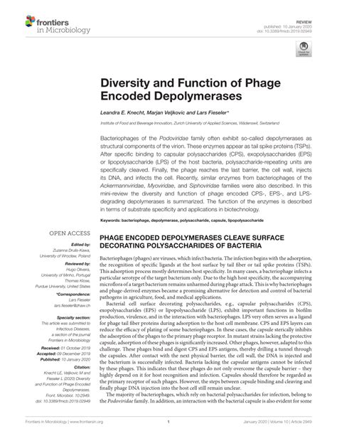 Pdf Diversity And Function Of Phage Encoded Depolymerases