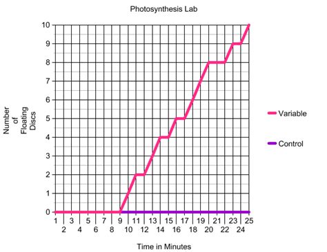 Photosynthesis Lab Biology Blog