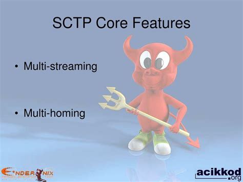PPT SCTP Next Generation Signalling Protocol And FreeBSD PowerPoint Presentation ID