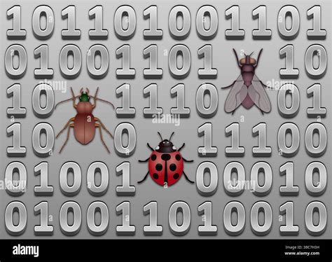Software Bugs Computer Data Errors Binary Code With Bugs Corrupted