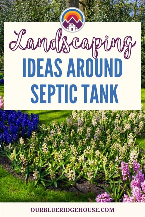 41 Simple Landscaping Ideas Around Septic Tank Our Blue Ridge House
