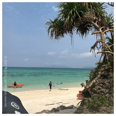 진에어 인천 이시가키 탑승후기 수화물 탑승 꿀팁 네이버 블로그