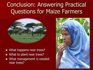 Tree Crop Interactions Pptx
