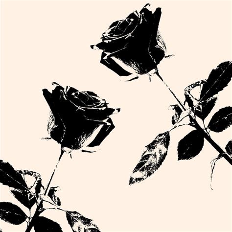 장미일러스트 이미지 Freepik에서 무료 다운로드