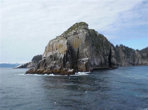 Services Paula C Deckard