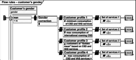 The Embedded Rule Flow Customer S Gender Download Scientific Diagram