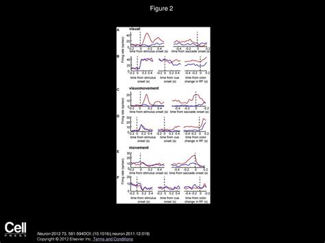 Georgia G Gregoriou Stephen J Gotts Robert Desimone Neuron Ppt