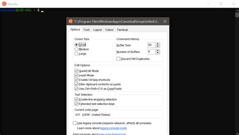 Intermittently Broken CTRL SHIFT V Issue Microsoft WSL GitHub