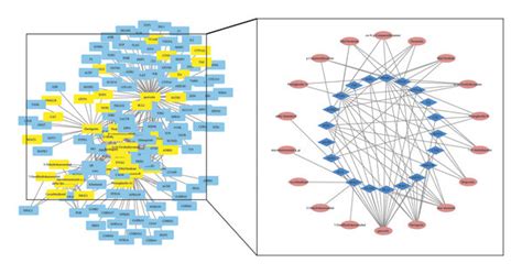 Filtering Process For The Network Diagram In The Figure On The Left Download Scientific