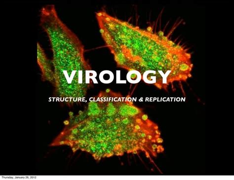 Virus Structure Classification Replication Pdf