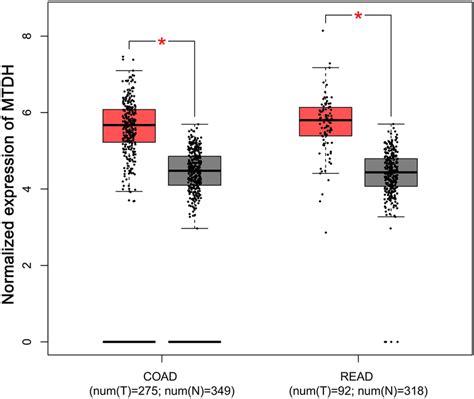 Mtdh Expression Is Promoted In Crc Tissues Mtdh Was Overexpressed In Download Scientific