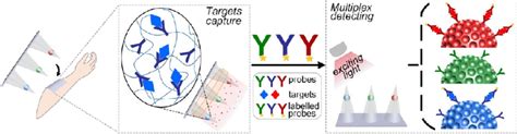 Diagram Of Microneedles Mns Encoded With Spcs For Isf Biomarker