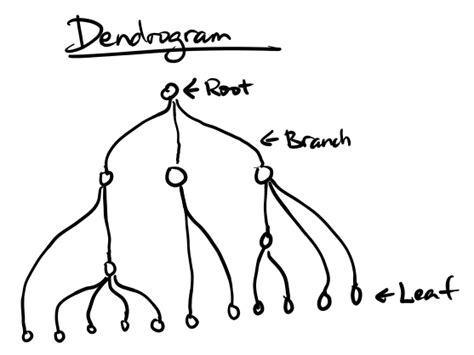 Dendrogram Kwan Lin