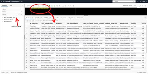 How To Import Data In Oracle Sql Developer Web