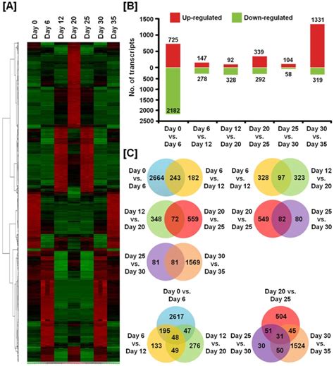 A Heat Map Of Hierarchically Clustered Genes Detected Alterations In
