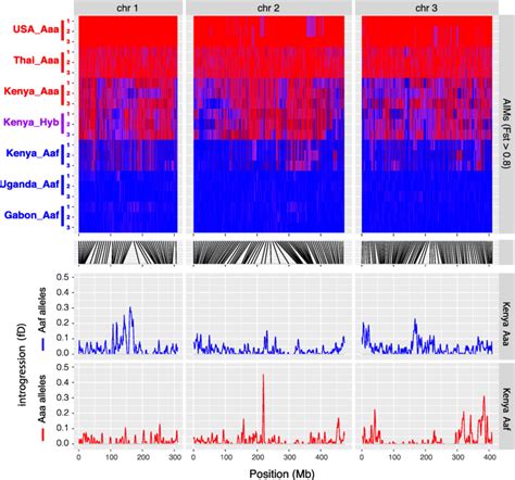 Introgression Was Assessed Via Pattersons D Between Global Populations Download Scientific