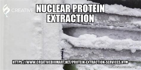 Nuclear Protein Extraction Protein