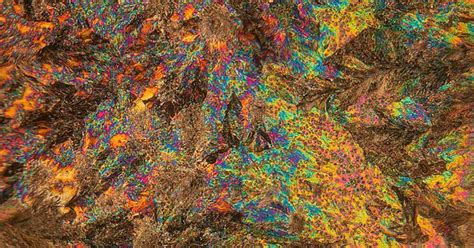 Paracetamol And Caffeine Under Polarising Microscope Imgur