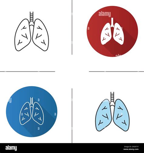 Human Lungs Icon Respiratory System Anatomy Flat Design Linear And