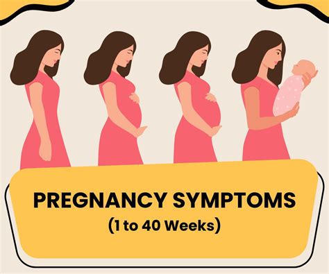 Pregnancy Symptoms Week By Week 1 40 Weeks A Complete Guide