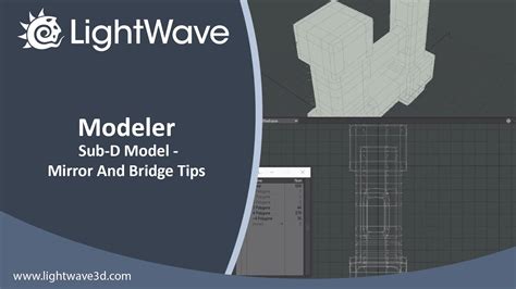 Lightwave D Sub D Mirror And Bridge Tips YouTube