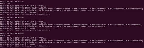 two gpu memory not full · issue 198 · mic dkfz nnunet · github