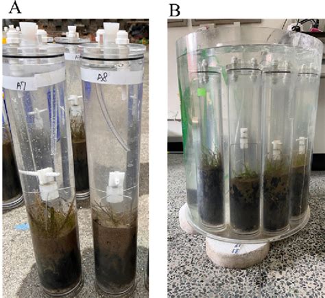 Figure 1 From Investigation Of The Growth And Mortality Of Bacteria And Synechococcus Spp In