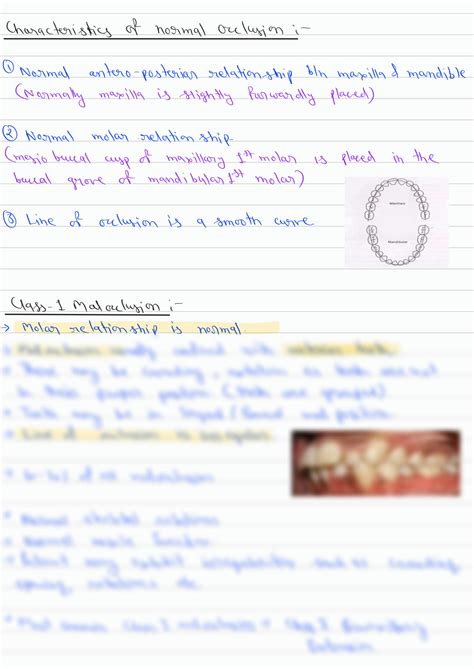 Solution Angles Classification Of Malocclusion Studypool