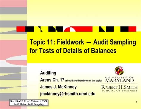 PPT Topic 11 Fieldwork Audit Sampling For Tests Of Details Of Balances PowerPoint