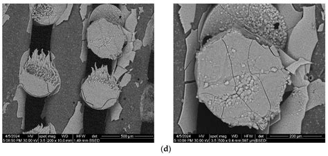 Three Dimensional Printed Composite Scaffolds Containing Poly ε Caprolactone And Strontium Doped