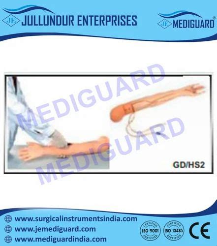 Intermediate Multi Functional Adult Iv Training Arm Model In New Delhi