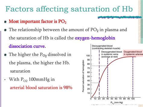 Ppt Chapter 23 Powerpoint Presentation Free Download Id 1965668