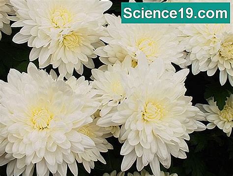 Τι χρώματα προσελκύουν θερμότητα 💫 Επιστημονική Και Δημοφιλή Ιστοσελίδα Πολυμέσων 2025