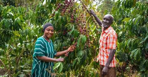 Ripple Effect Starbucks Fundraiser