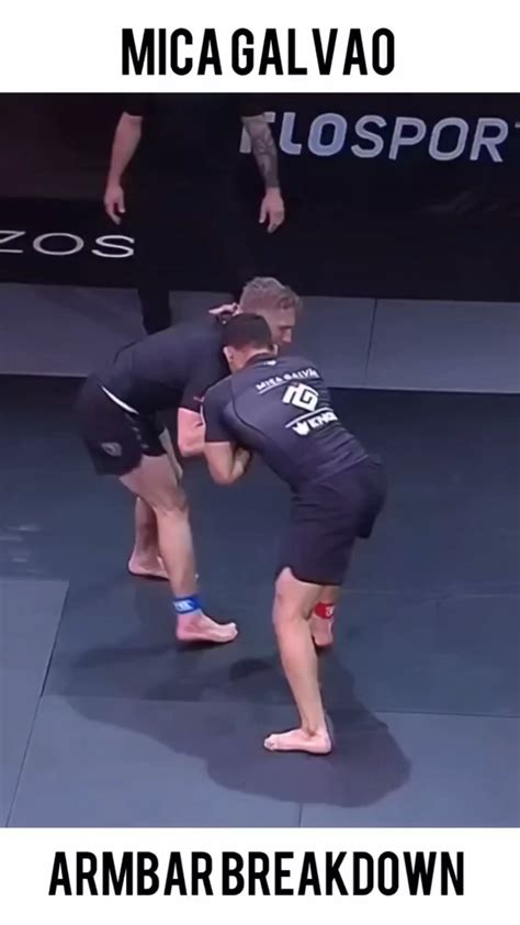 🥋🤼‍♂️ R Bjjseminars