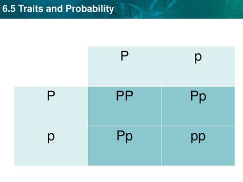 Biology Unit Four B Mendelian Genetics Ppt Download