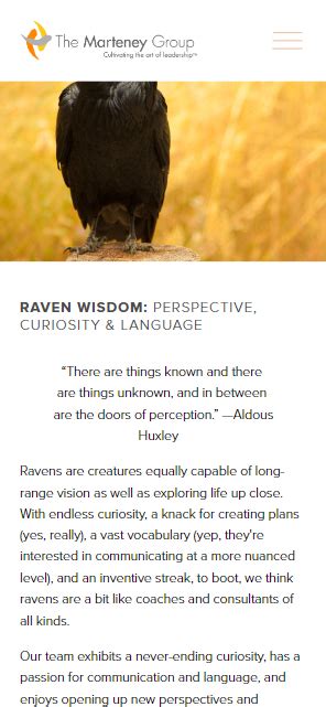 71 Mobile Header Covering Part Of Background Banner Customize With Code Squarespace Forum